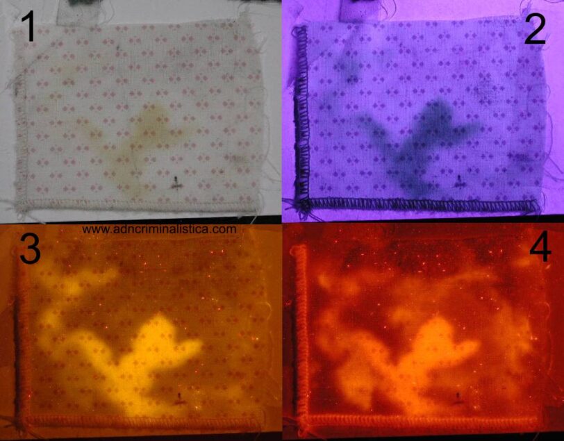 Uso del maletín completo de luces forenses para la investigación ...